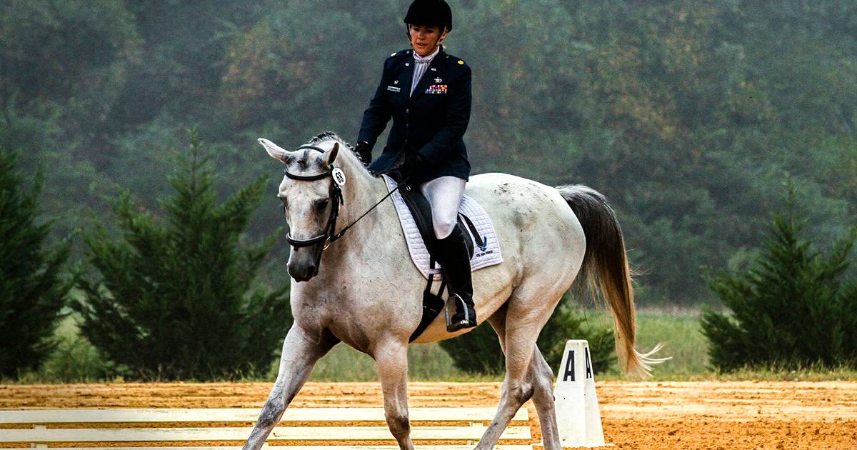 Conheça as diferenças básicas entre o hipismo e equitação!