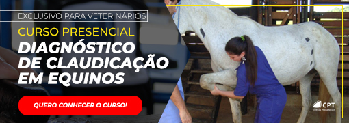 Exame de claudicação em equinos: entenda a análise em movimento